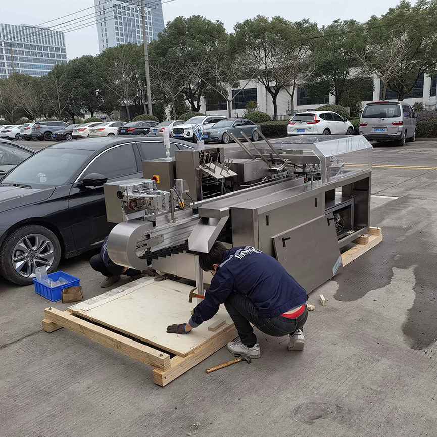 Poland - GDZ130 Automatic Blister Cartoning Machine - Hunan Grand ...